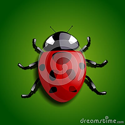 Realistic Ladybug Royalty-Free Stock Photography | CartoonDealer.com ...
