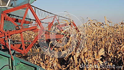 Reaping Machine in Action in Slow Motion Stock Video - Video of ...