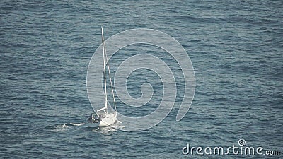 Rear View of a White Yacht Sailing on a Deep Blue Sea with White Waves ...