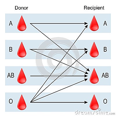 Recipient And Donor. Types Of Blood Vector Illustration | CartoonDealer ...