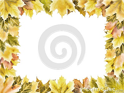 Rectangular Frame Of Autumn Maple Leaves Royalty-Free Stock Photo ...