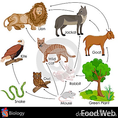 Red Alimentaria Foto de archivo - Imagen: 31606190