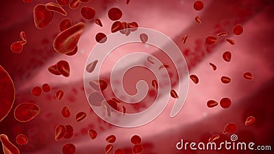 Inside Human Body,fat Cells,highly Detailed Texture, Stock Footage ...