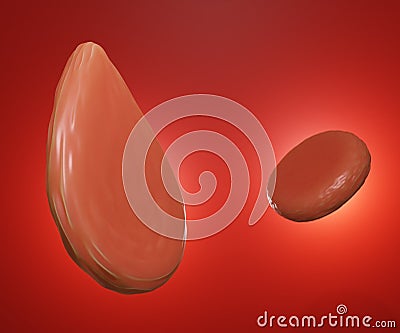 Red Blood Cell That Is Shaped Like A Teardrop Royalty-Free Stock Image ...