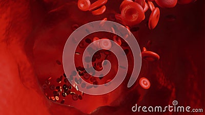 Red Blood Cells Flow Animation Stock Footage - Video of blood, glow ...