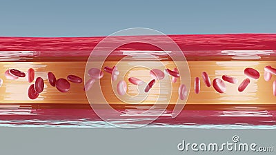 Red Blood Cells Flow Inside an Artery, Cross Section. Healthy Red Blood ...