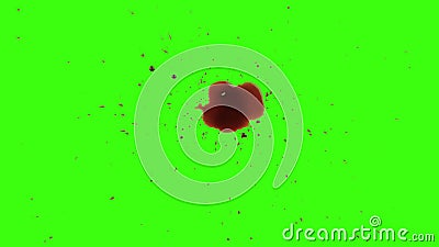Red Blood Splatter Splash Isolated Green Screen Stock Footage - Video ...