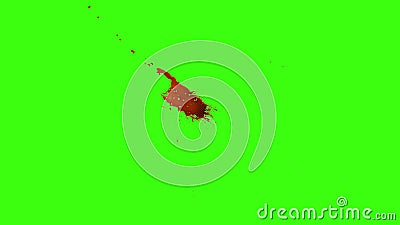 Red Blood Splatter Splash Isolated Green Screen Stock Footage - Video ...