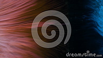 Red and Blue Colored Fluid Colliding Looking Like Abstract Battle ...