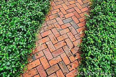 Red Brick Pathway In The Garden Royalty Free Stock Photography - Image ...