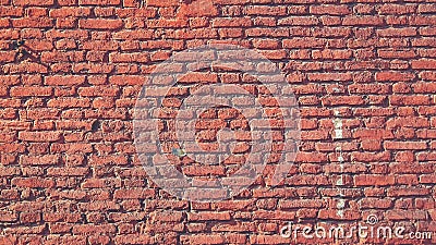 Red Bricks Wall Texture Seamless Loop. Concrete Blocks Wall Background ...