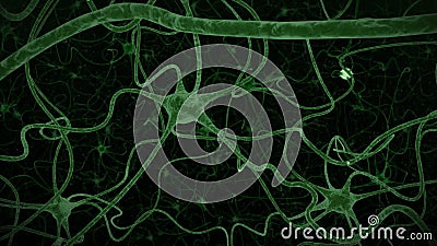 Sinapsis Real De La Red De La Neurona Dentro Del Cerebro Humano ...