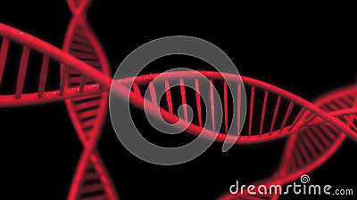 Red DNA Strand Slow Motion - 3D Animation. Animated DNA Chain Stock ...
