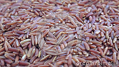 Red Kernel Rice in bulk stock video. Video of nutrition - 111115881