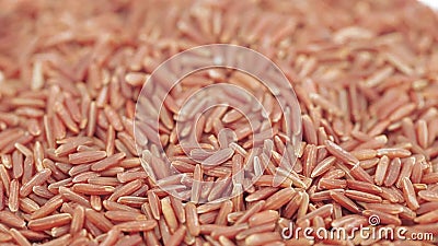 Red Kernel Rice in bulk stock video. Video of asian - 112486639