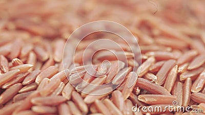 Red Kernel Rice in bulk stock footage. Video of ingredient - 115218426