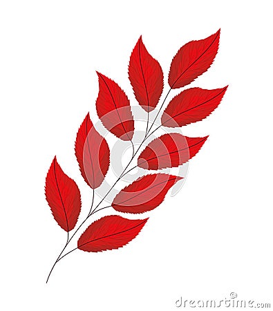 Red Lanceolate Leaves Cartoon Vector | CartoonDealer.com #225614639