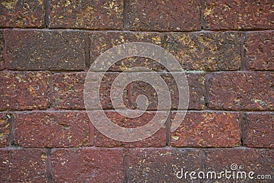 Red Laterite Brick Wall Royalty-Free Stock Photo | CartoonDealer.com ...