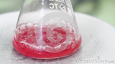 Red Liquid is Bubbling in a Flask Stock Footage - Video of chemistry ...