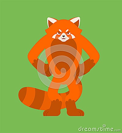 Red Panda Angry. Wild Animal Evil Emotions. Beast Aggressive. Vector ...