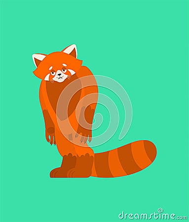 Red Panda Sad. Wild Animal Sorrowful. Beast Dull. Vector Illustration ...