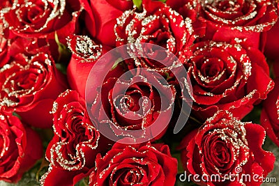 Red Rose Flowers With Sparkle Particles Royalty Free Stock Photography ...