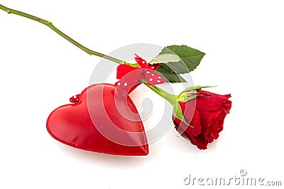 Red Rose For Love Stock Image - Image: 17445071