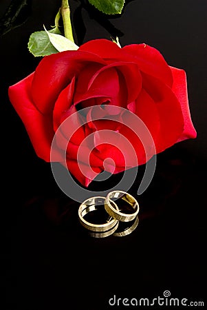 Red Rose And Wedding Rings Stock Images - Image: 4715884