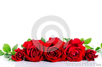 Red Roses In Row Over White Royalty Free Stock Photos - Image: 31789878