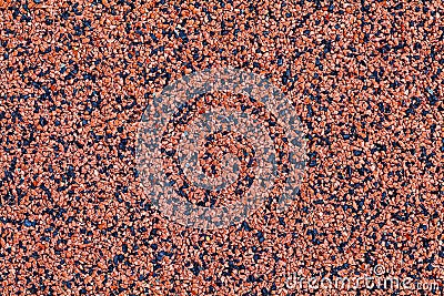 Rubber Running Track Flooring Texture And Seamless Background Stock ...