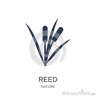 Reed Icon. Trendy Flat Vector Reed Icon On White Background From ...