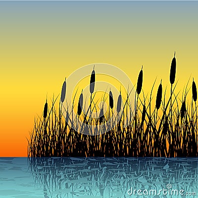 Reed Silhouette With Water Reflection Cartoon Vector | CartoonDealer ...