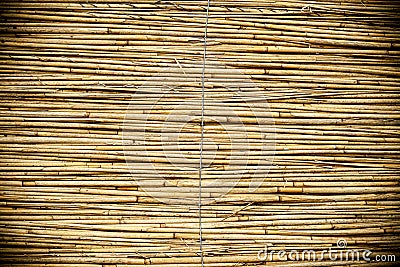 Reed Texture Stock Image | CartoonDealer.com #59073703