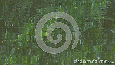 Reflection of Green Leaf on Water. Stock Video - Video of calm, liquid ...