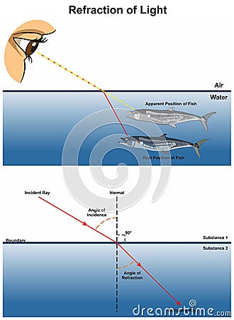 Refraction Of Light Infographic Diagram Physics Mechanics Dynamics ...