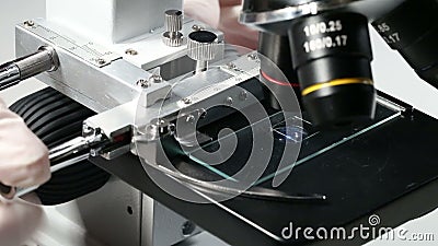 Researcher or Scientist Moving Specimen Sample Holder on Microscope ...