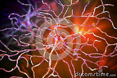 Retinal Neuron, A Neuron That Plays Crucial Role In Vision, It ...