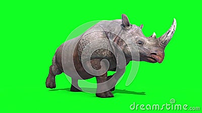 Rhinoceros Run Cycle Green Screen Loop 3D Renderings Animations Animals ...
