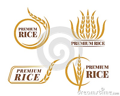 Rice Emblems Labels Badges Collection , Gold Paddy Rice Logo Vector ...