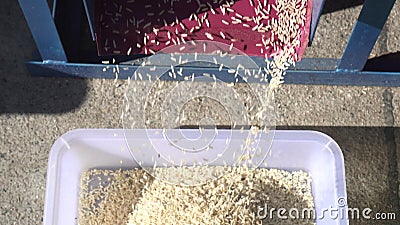 Rice Milling through Machine Agricultural Process Stock Footage - Video ...