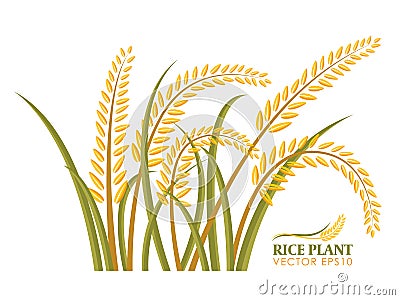 Rice Plant Isolate On White Background Vector Design | CartoonDealer ...
