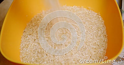 Rice is poured into a bowl stock footage. Video of closeup - 113686152