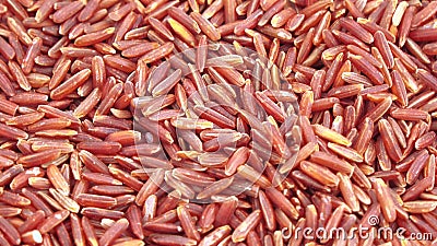 Red Kernel Rice in bulk stock video. Video of healthy - 112477533
