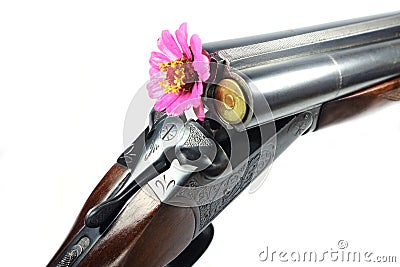 Rifle With A Flower In The Barrel Stock Photo | CartoonDealer.com #31781046