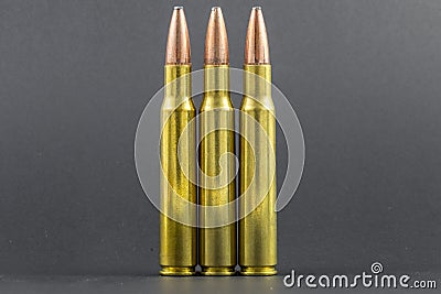 3 Rifle Rounds In A Row Royalty-Free Stock Photography | CartoonDealer ...