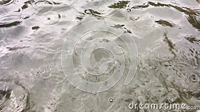 Ripple Rain Drops on the Water Inside Pond. Stock Video - Video of ...