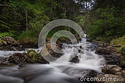 River Falling Among The Rocks And Trees Of The Green Forest Stock ...
