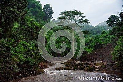 River In A Lush Rainforest On Bali Island, Indonesia Royalty-Free Stock ...