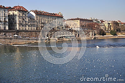 River Po In Turin, Italy Royalty Free Stock Photography - Image: 13763317