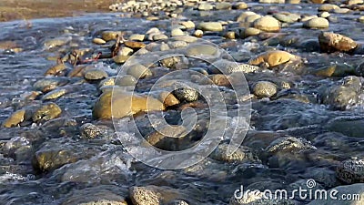 River Shallow Water Stream Closeup Stock Footage - Video of scenics ...